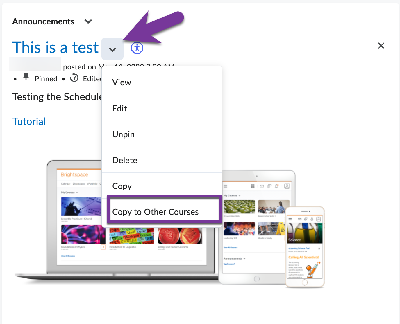 Copy an Announcement to Other Courses – PPSC eLearning Knowledge Base ...
